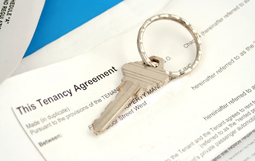 9 Tips: How To Plan For A Successful Tenant Improvement Project